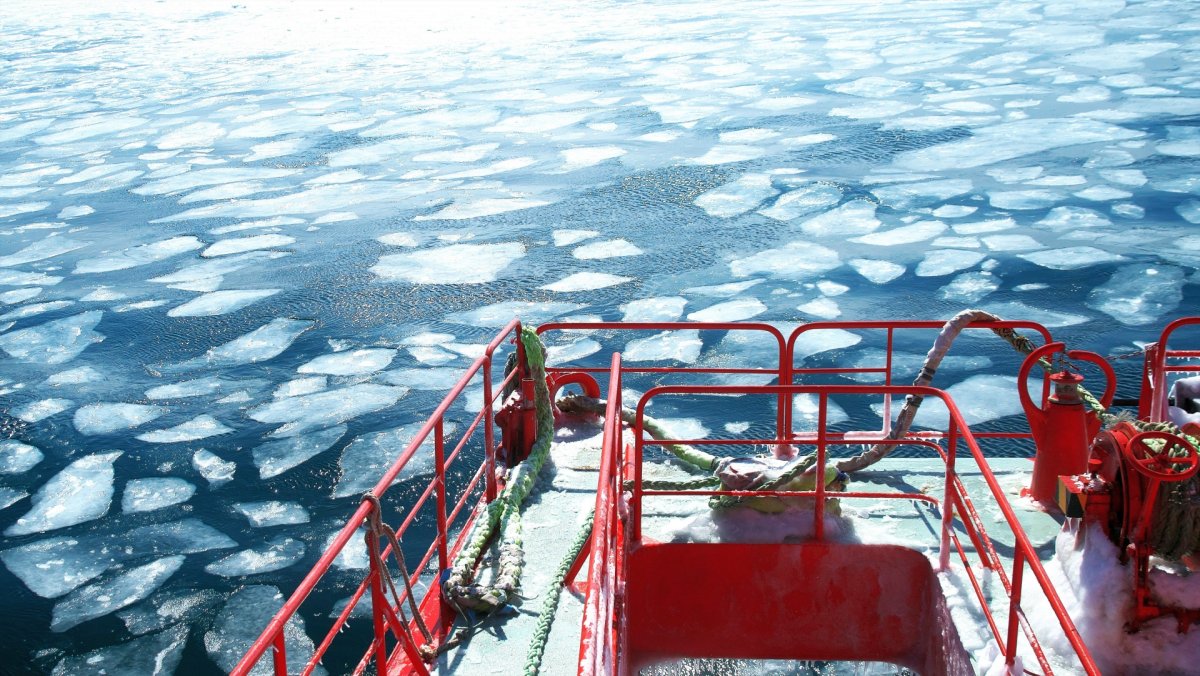 R4-03 The Ice Horizon and Drift Ice Walk—A Glimpse into the Ecosystem ...
