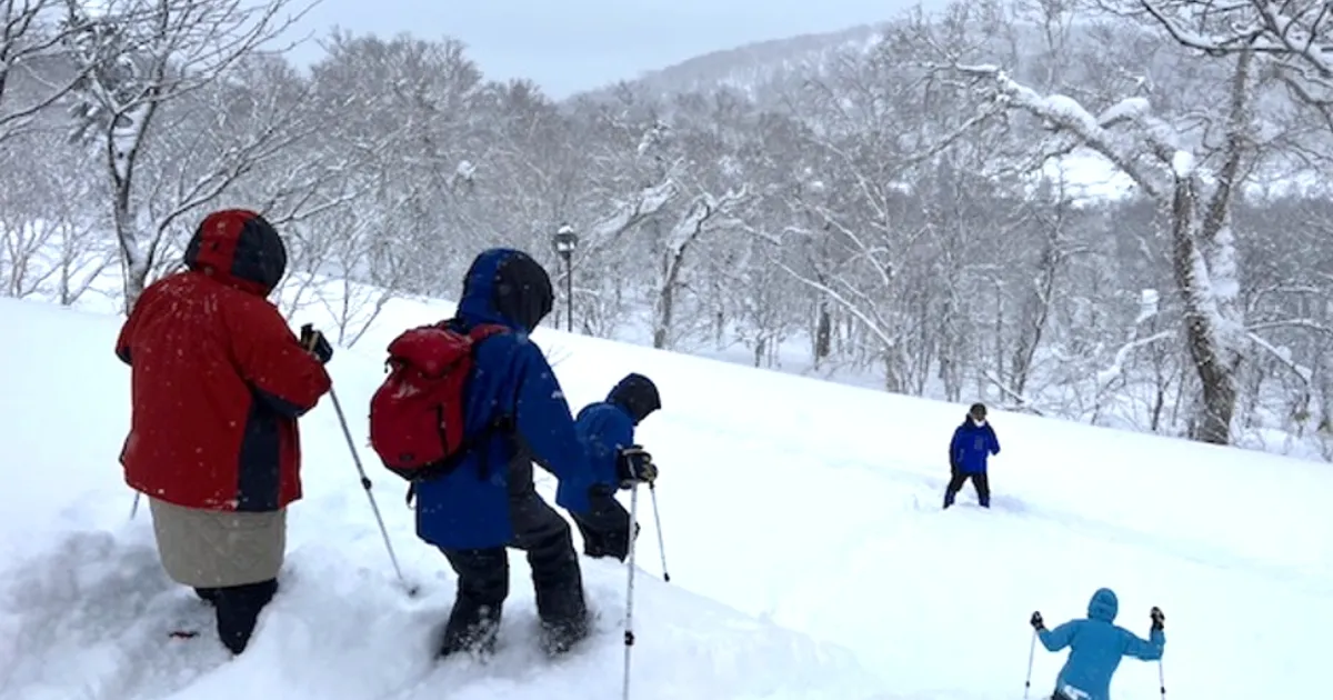 Snowshoe (or Easy Crampon) Hiking in Toya-Usu UNESCO Global Geopark ...